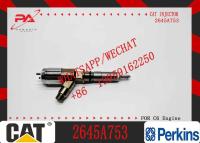 China Caterpillar C6.6 C6.4 Fuel Injector 2645A753 320-0690 326-4700 2.2kg 24 Month Warranty for sale