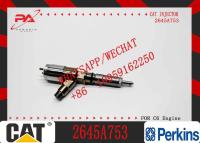 China Caterpillar C6.6 C6.4 Fuel Injector 2645A753 320-0690 326-4700 2.2kg 24 Month Warranty for sale
