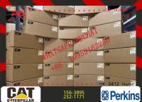 China 1563895 1697408 Engine Parts Fuel Injector 156-3895 169-7408 171-9704 for 3412 1719704 Engine for sale