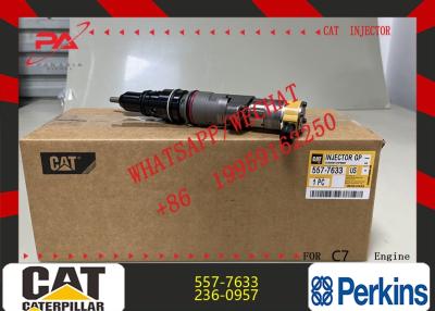 China High Quality 557-7633 263-8218 328-2574 Fuel Injector for CAT C7 C9 Engine Excavator Construction Machinery Parts for sale
