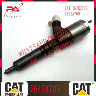 China Diesel Fuel Injector 2645A709 2645A731 for CAT C7 C9 Engine 276-8290 282-0490 for sale