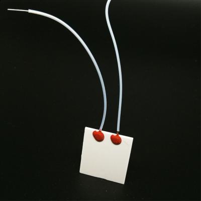 China Custom MCH Ceramic Heating Plate 110V 220V High Power Density 45W/cm2 Rapid Heating for sale