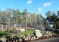 China Flexible Wire Rope Mesh SUS304 SUS316 50x50mm for Protceting for sale