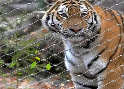 China Flexible SS Wire Rope Mesh Customized Lightweight Tiger Fencing for sale