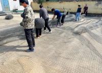 China Pliable / Flexible Bird Netting Fence Custom Bird Garden Net Wire Mesh for sale