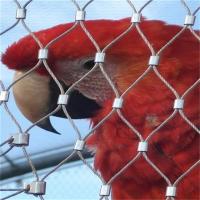 China Heavy Duty Zoo Mesh Bird Nets With 1*7 Cable Structure 25*25mm Aperture Diamond Shape Durability for sale