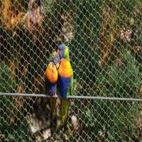 China Customizable Stainless Steel Wire Aviary Netting For Parrot Cage Mesh  Size 30*30mm for sale