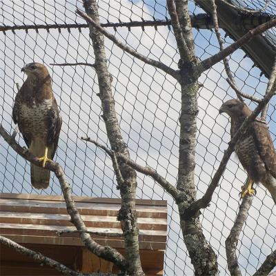 China Custom Bird Aviary Enclosure 316 Stainless Steel Wire Rope Mesh Woven Zoo Mesh Size 50*50mm for sale
