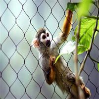 China SS 304 316 Flexible Zoo Netting Monkey Cage Stainless Steel Wire Rope Mesh For Zoological Garden for sale