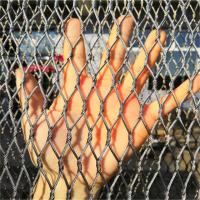 China Stainless Steel Birdhouse Net Zoo Rope Net Wire Rope Net For Animal Enclosure Fence for sale