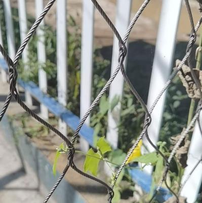 China 316 Flexible Stainless Steel Wire Cable Rope Mesh Net for Plant Green Climb Wall for sale