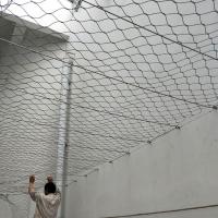 China Stainless Steel Wire Rope Mesh 100*100mm Green Plant Climbing Trellis Wall Mesh for Garden for sale