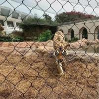 China Square Hole Zoo Mesh 25*25-300*300 for Animal Enclosures and Fencing Systems for sale