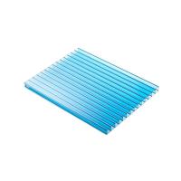 China 8mm 10mm Twinwall Multiwall Polycarbonate Roofing Sheet Transparente Circular Edge for sale