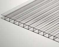 China Best Twin Wall Polycarbonate Sheet made in china for sale