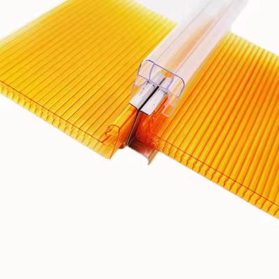 China Customized Length 500-1050mm Width Polycarbonate Hollow Sheet with Composite Co Extrusion for Roof Wall Panels for sale