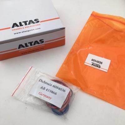 China Atlas Industrial Seal Kit 6094036 AB419866 Durable Standard Size OEM ODM for sale