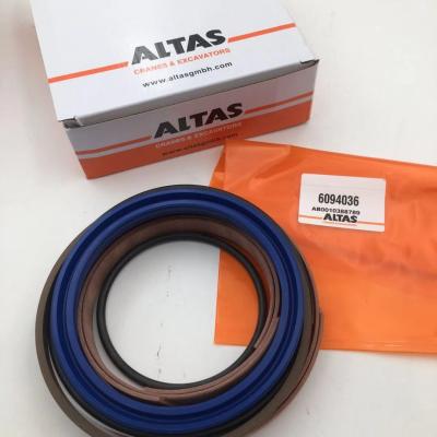 China Atlas Hydraulic Cylinder Repair Seal Kit 6094036 AB0010388789 PTFE NBR 50 Sets MOQ for sale
