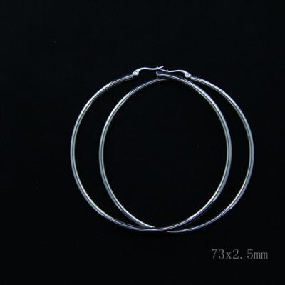 China Classic 316L Stainless Steel Fashion Jewelry Earrings Hoops Earrings LEH55 for sale