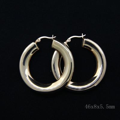 China Classic 316L Stainless Steel Fashion Jewelry Earrings Hoops Earrings LEH54 for sale