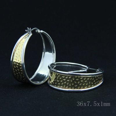 China Classic 316L Stainless Steel Fashion Jewelry Earrings Hoops Earrings LEH137-2 for sale