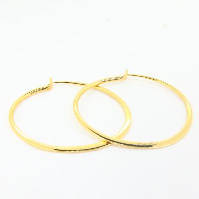 China Classic 316L Stainless Steel Fashion Jewelry Earrings Hoops Earrings LEH193-1 for sale