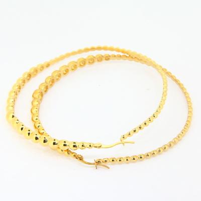China Classic 316L Stainless Steel Fashion Jewelry Earrings Hoops Earrings LEH221 for sale