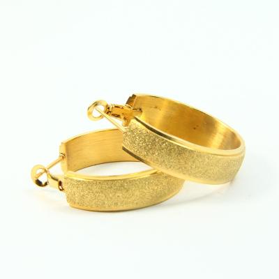 China Classic 316L Stainless Steel Fashion Jewelry Earrings Hoops Earrings LEH152-2 for sale