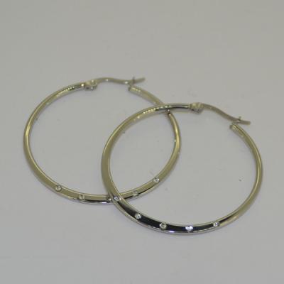 China Classic 316L Stainless Steel Fashion Jewelry Earrings Hoops Earrings LEH199-1 for sale