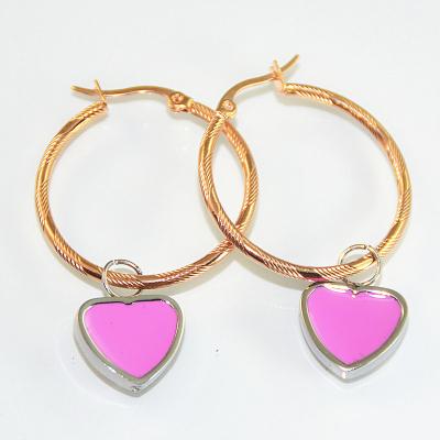 China Classic 316L Stainless Steel Fashion Jewelry Earrings Hoops Earrings LEH195 for sale