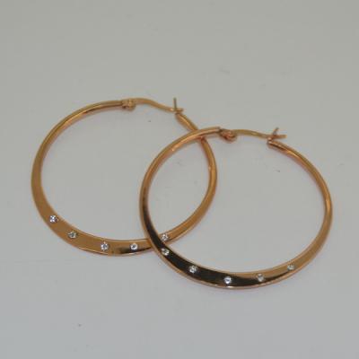China Classic 316L Stainless Steel Fashion Jewelry Earrings Hoops Earrings LEH199-2 for sale