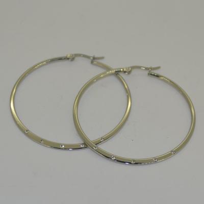 China Classic 316L Stainless Steel Fashion Jewelry Earrings Hoops Earrings LEH200-1 for sale