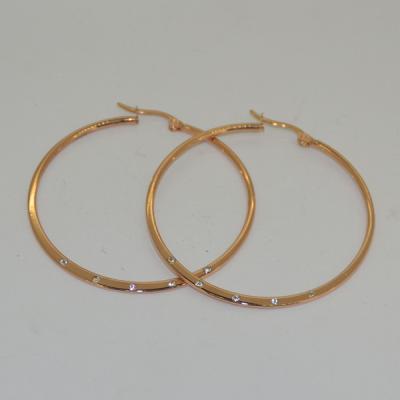 China Classic 316L Stainless Steel Fashion Jewelry Earrings Hoops Earrings LEH200-2 for sale