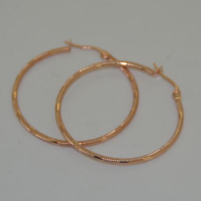 China Classic 316L Stainless Steel Fashion Jewelry Earrings Hoops Earrings LEH208-3 for sale