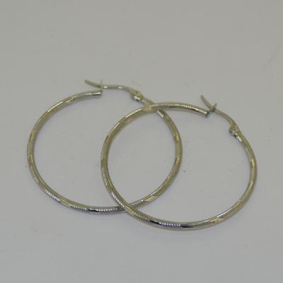China Classic 316L Stainless Steel Fashion Jewelry Earrings Hoops Earrings LEH208-1 for sale