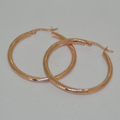 China Classic 316L Stainless Steel Fashion Jewelry Earrings Hoops Earrings LEH207-2 for sale