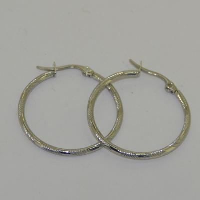 China Classic 316L Stainless Steel Fashion Jewelry Earrings Hoops Earrings LEH209-1 for sale