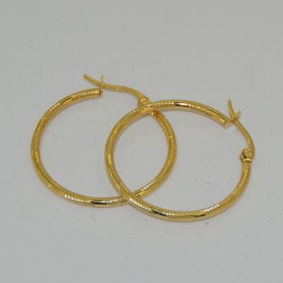 China Classic 316L Stainless Steel Fashion Jewelry Earrings Hoops Earrings LEH209-2 for sale