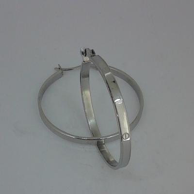 China Classic 316L Stainless Steel Fashion Jewelry Earrings Hoops Earrings LEH210 for sale