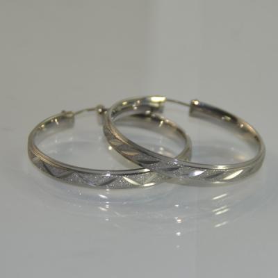 China Classic 316L Stainless Steel Fashion Jewelry Earrings Hoops Earrings LEH212 for sale