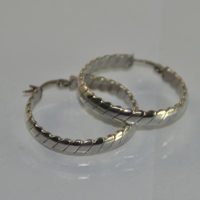 China Classic 316L Stainless Steel Fashion Jewelry Earrings Hoops Earrings LEH215 for sale