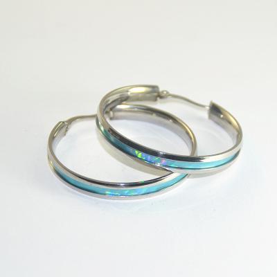 China Classic 316L Stainless Steel Fashion Jewelry Earrings Hoops Earrings LEH218 for sale