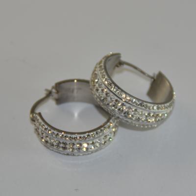 China Classic 316L Stainless Steel Fashion Jewelry Earrings Hoops Earrings LEH226 for sale