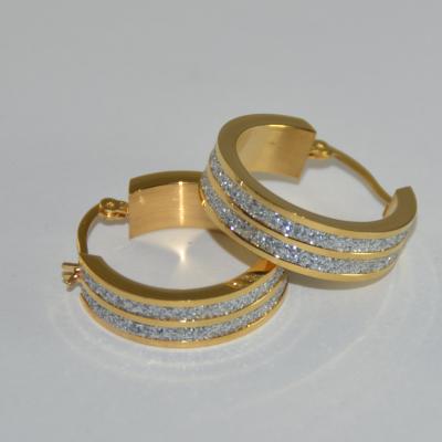 China Classic 316L Stainless Steel Fashion Jewelry Earrings Hoops Earrings LEH222-1 for sale