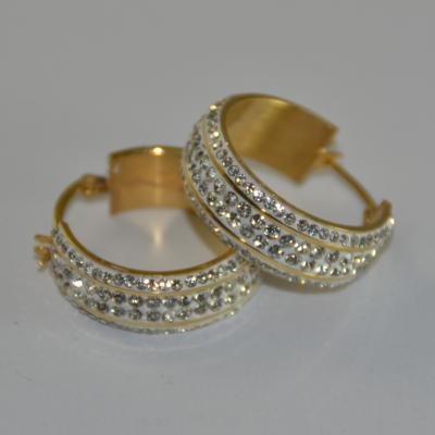 China Classic 316L Stainless Steel Fashion Jewelry Earrings Hoops Earrings LEH226-1 for sale