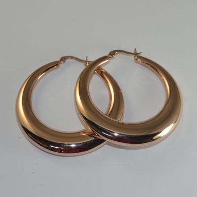 China Classic 316L Stainless Steel Fashion Jewelry Earrings Hoops Earrings LEH225 for sale