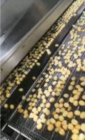 China 69m Long Connection Bakery Tunnel Oven for Cake Rusk Toast with 1050-3300mm Width and 40Kg/m² Capacity for sale