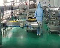 China 304 Stainless Steel Industrial Egg Yolk Pie Making Machine with Tunnel Oven 220V for sale