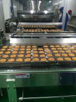 China PLC Control 1000kg/H Bakery Production Line Equipment for Sweet Bun Bread Making for sale