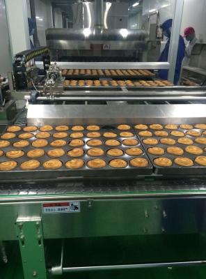 China PLC Control 1000kg/H Bakery Production Line Equipment for Sweet Bun Bread Making for sale